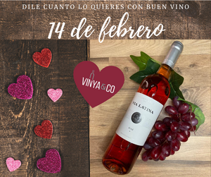 Tienda de Vinos, licores y productos gourmet de origen portugués – Vinya&Co
